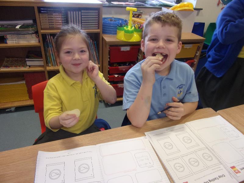 Crisp Tasting Experiment